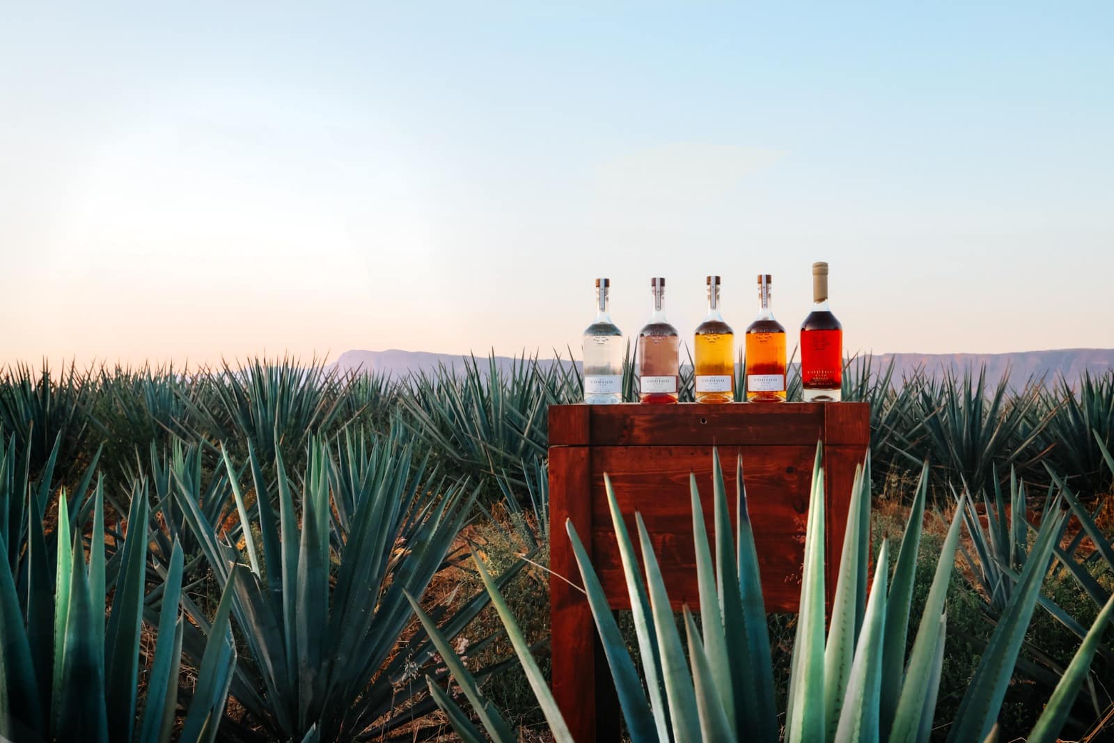 Por Primera Vez Llega Tequila Código 1530 A Barra México – Brand PR Digital